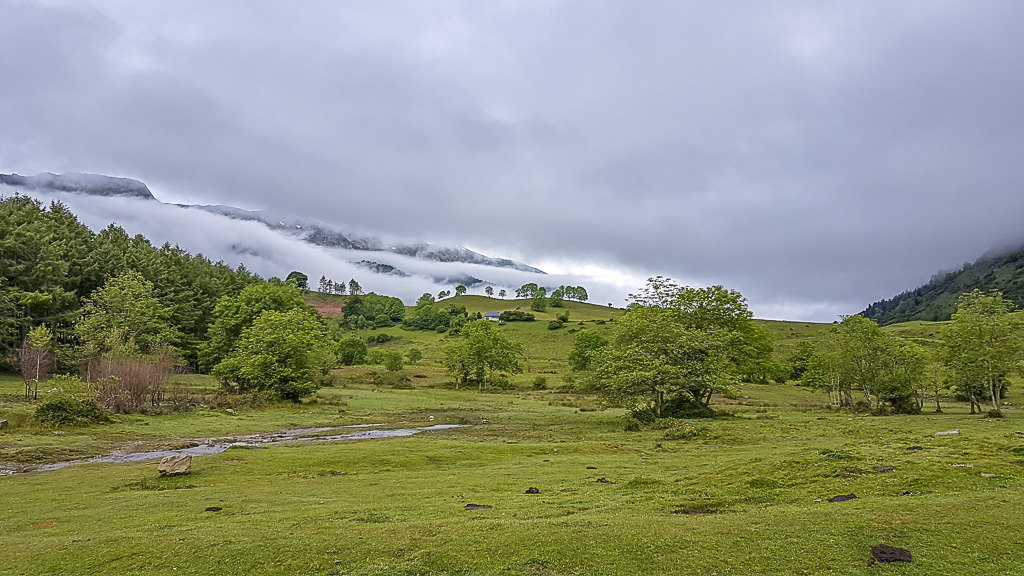 Les zones humides du plateau du Benou | lanaturemoi